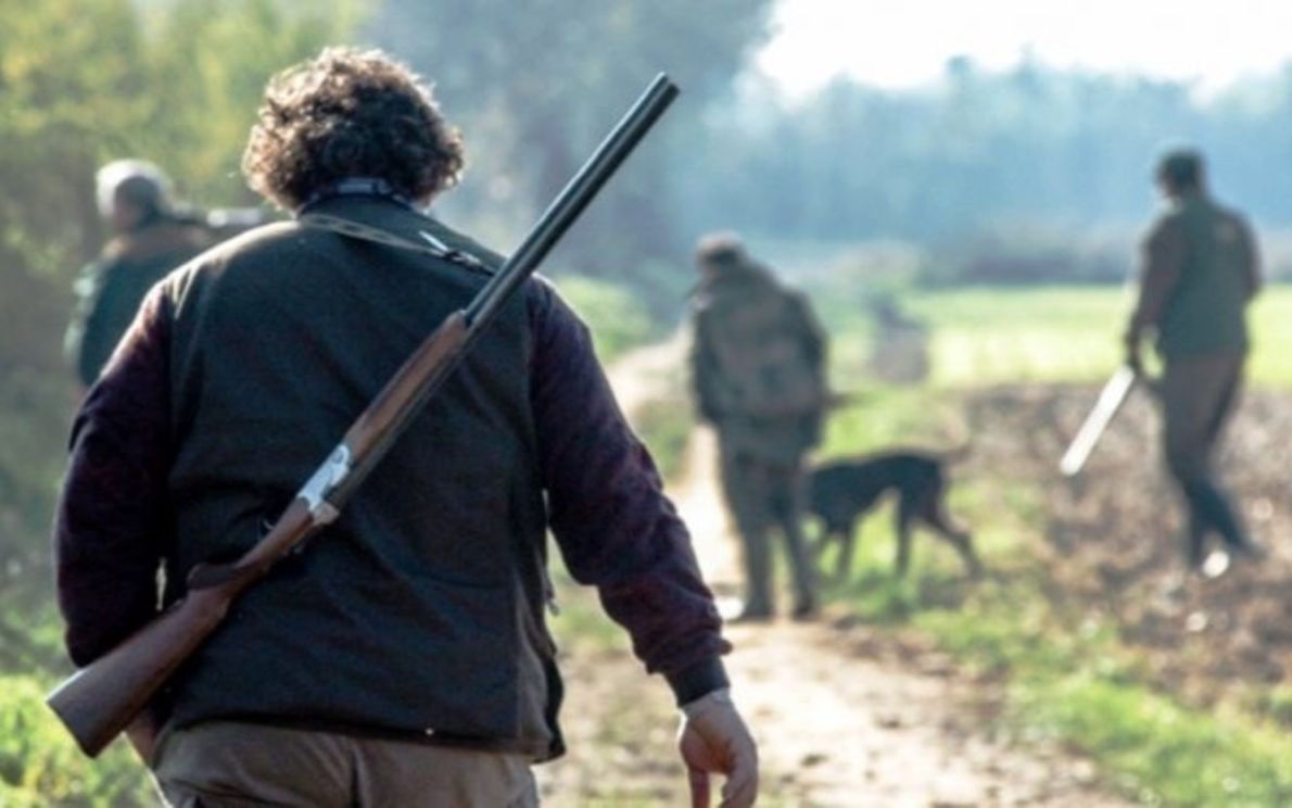 Presentato il calendario venatorio, la stagione della caccia inizierà ...