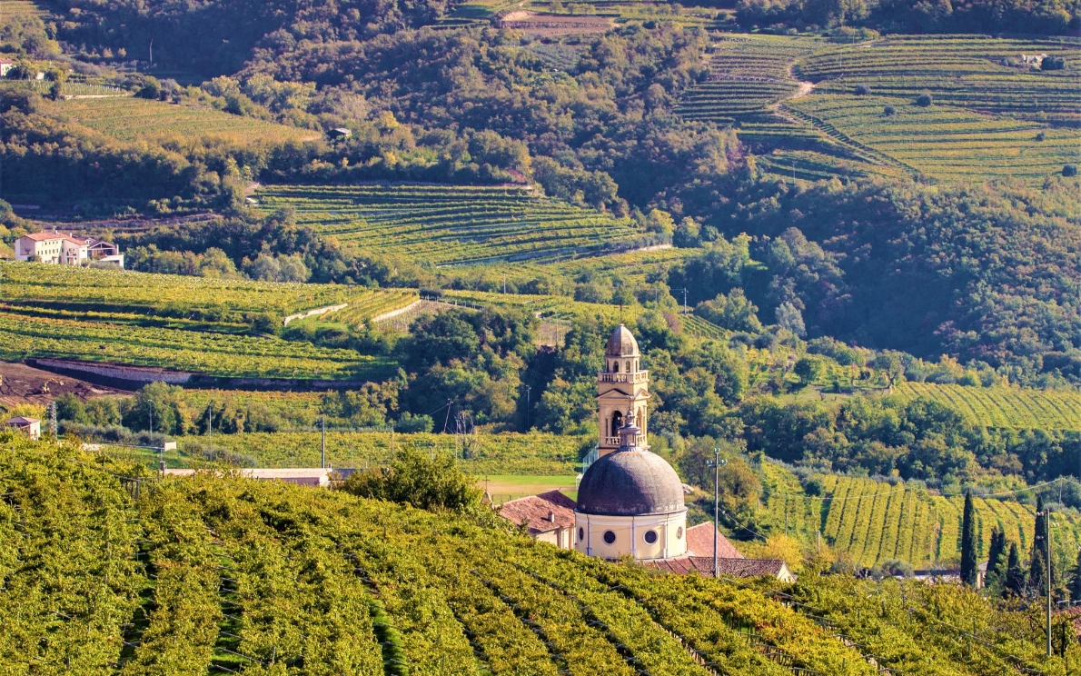 Colline terrazzate della Valpolicella nel registro nazionale dei paesaggi rurali storici ...