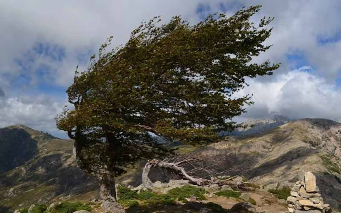 Meteo, fase di attenzione in Veneto: vento forte su zone montane e ...