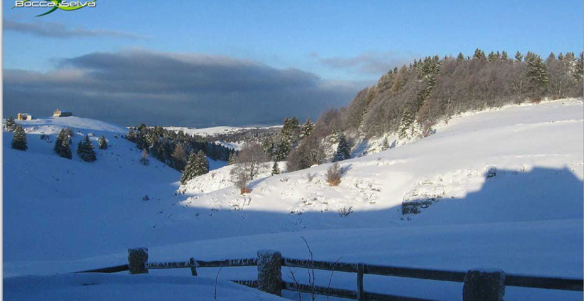 Neve in montagna pericolo valanghe | TgVerona | Telenuovo