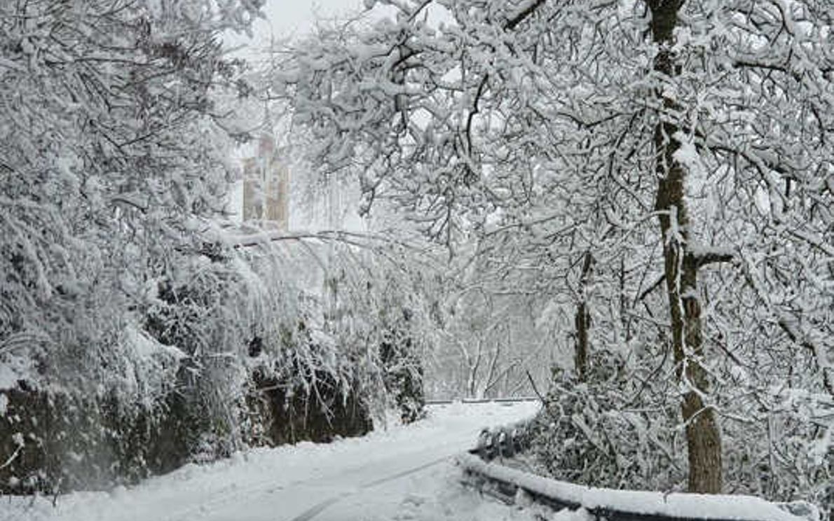 Neve in Lessinia,allarme valanghe in tutto Veneto | TgVerona | Telenuovo