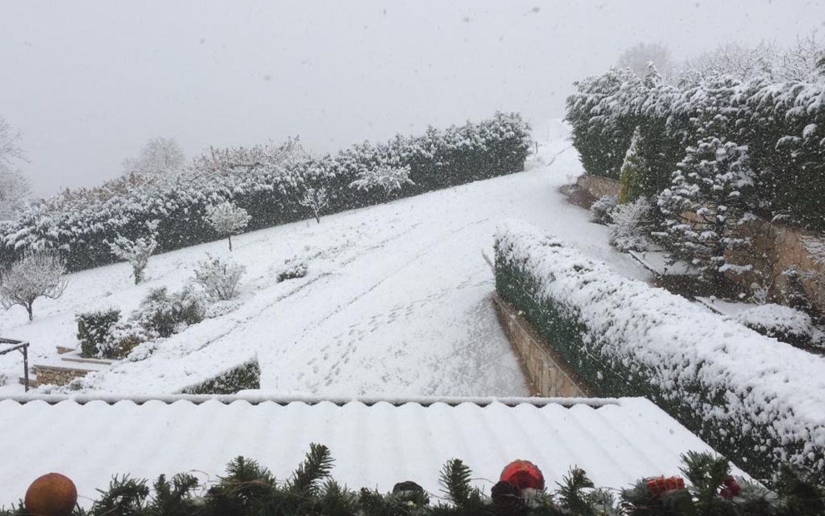 Colline veronesi imbiancate dalla neve: pericolo strade gelate a Verona | TgVerona | Telenuovo