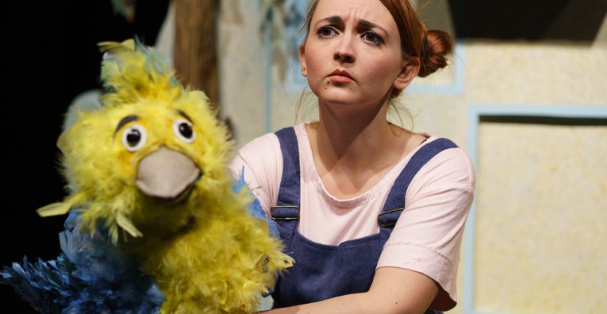 Cipì, un eroe impaziente di scoprire il mondo | TgVerona | Telenuovo