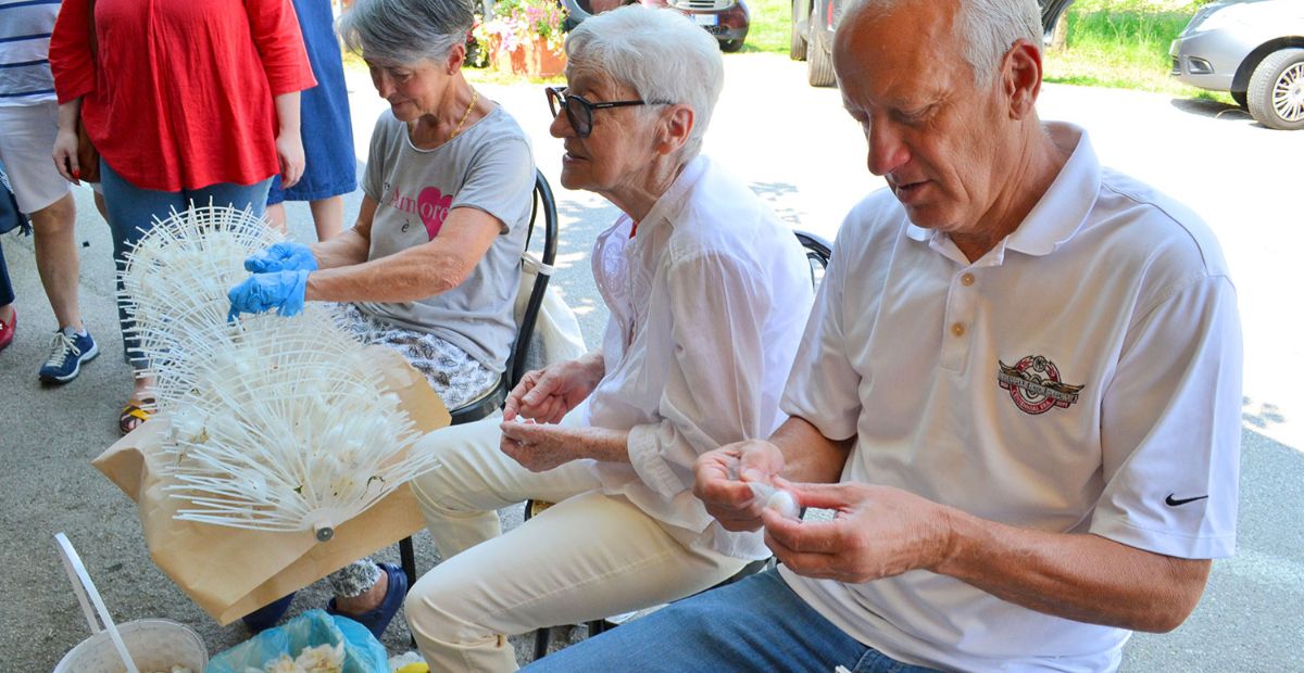 La tradizionale 'sgaetada' dei bachi da seta: c'è anche il consigliere ...