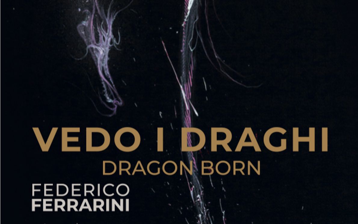 L'artista veronese Federico Ferrarini in mostra a Chiasso | TgVerona ...