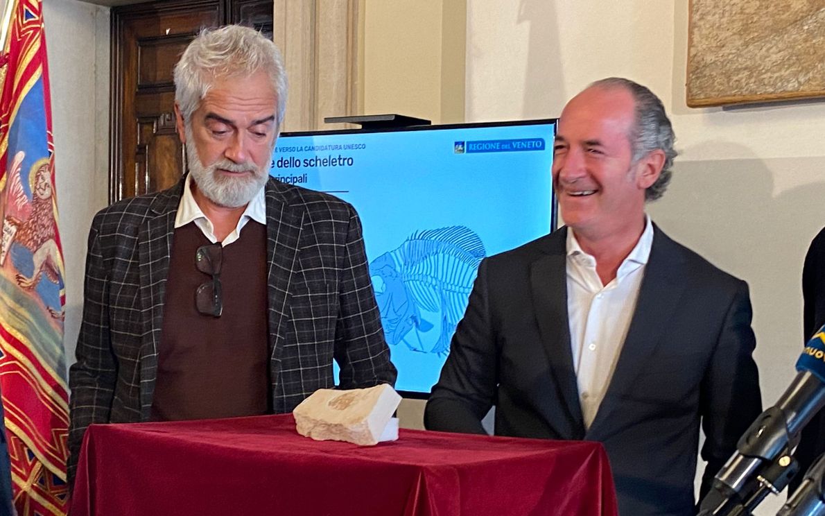 Dedicato a Luca Zaia un pesce di 50 milioni di anni fa ritrovato a ...