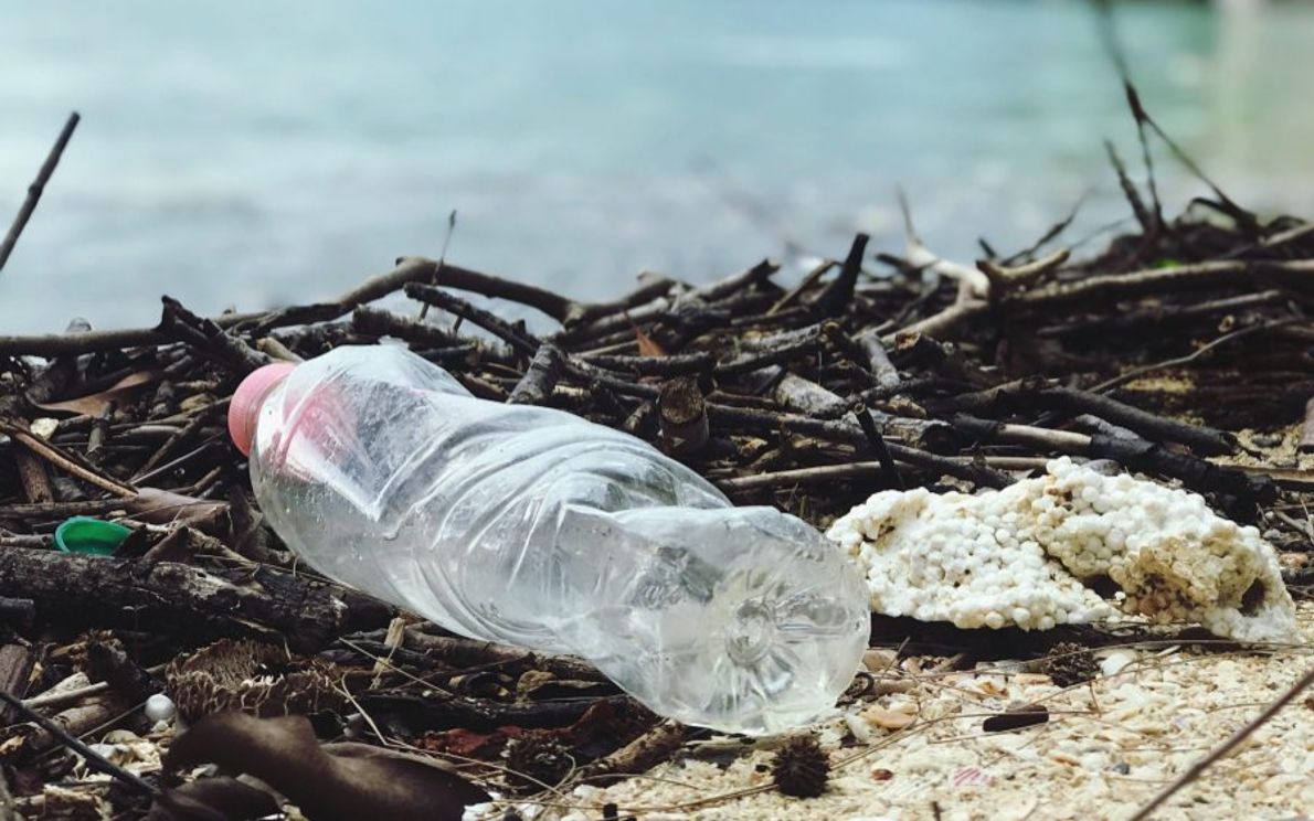 Salgono a 141 i Comuni Plastic free nel 2026: c'è anche Verona ...