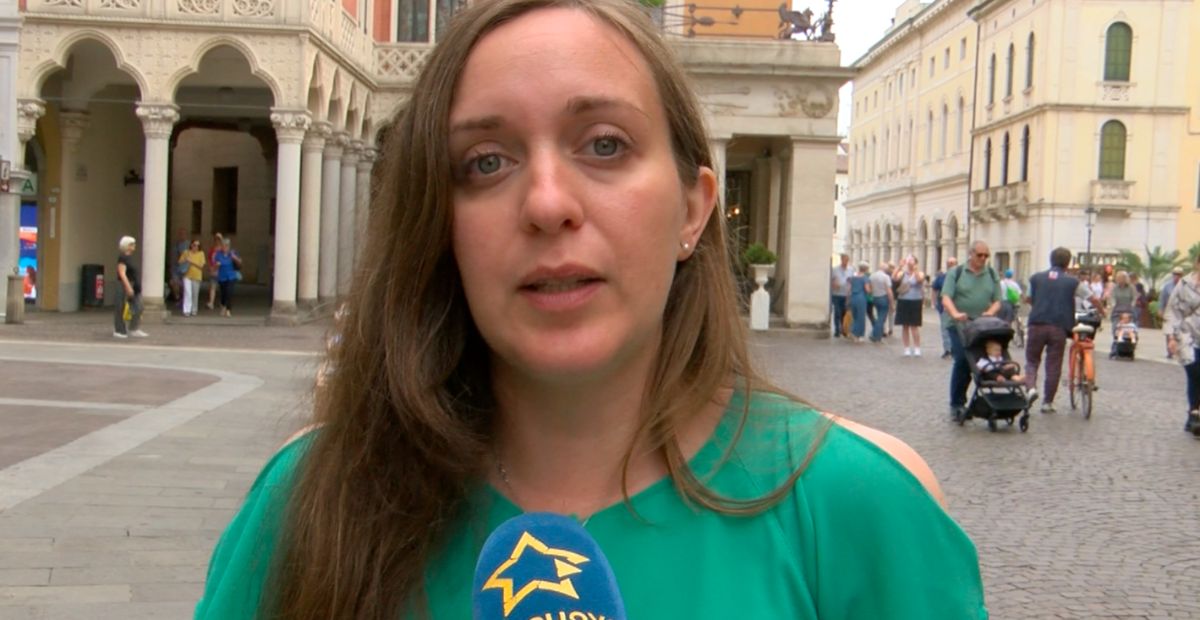 Pfas, Guarda (Verdi-Avs): "Sentenza storica, chi inquina paga" | TgVerona | Telenuovo