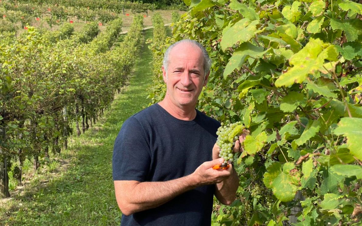 Zaia: "Per il Veneto la vendemmia del 2025 è l'annata del secolo ...